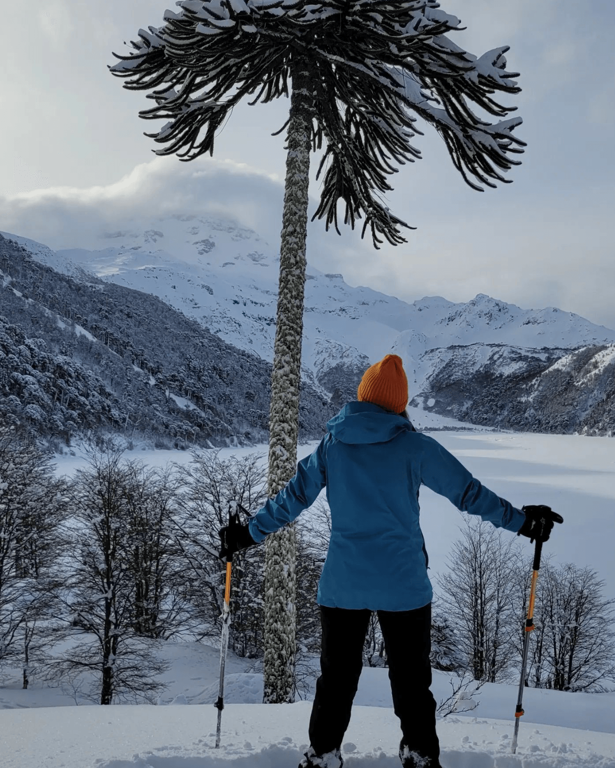 Trekking Full Day Mirador Laguna Blanca | Curacautín